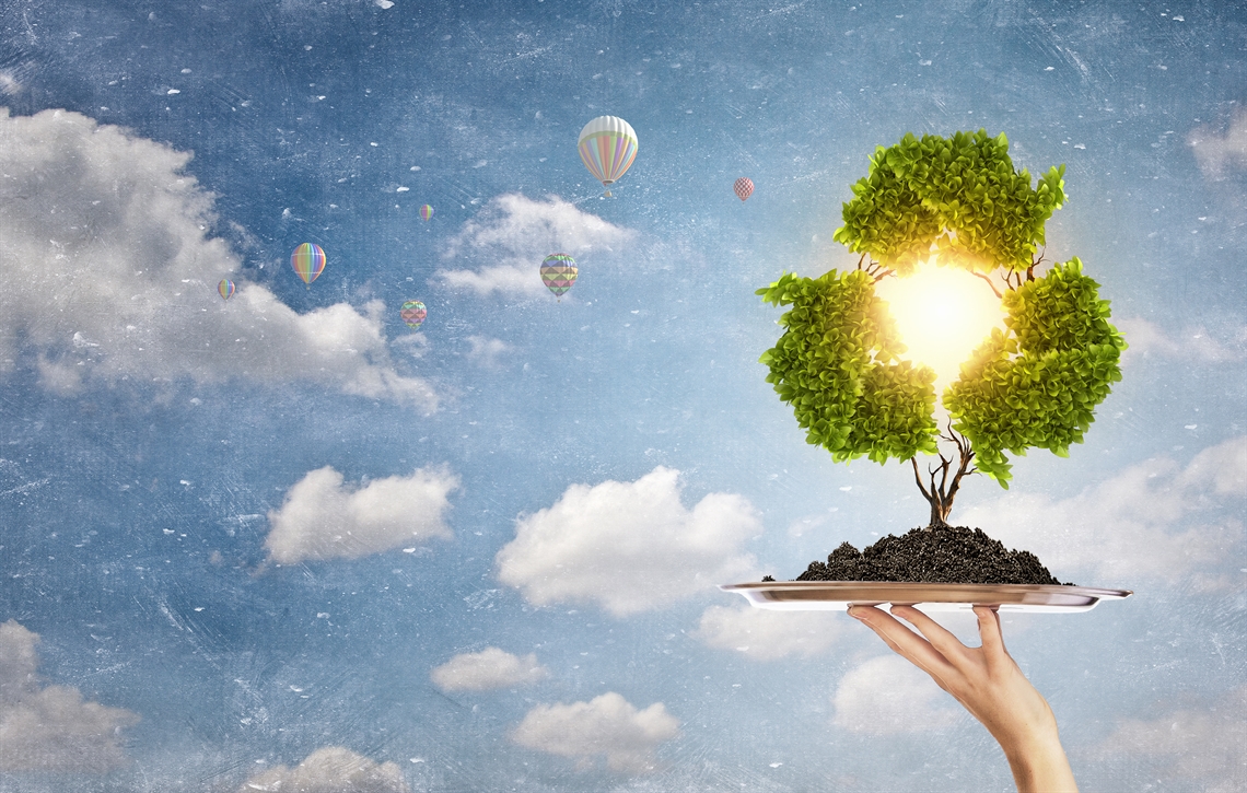 Print Tech Ordering Storefront-Environment Thank You